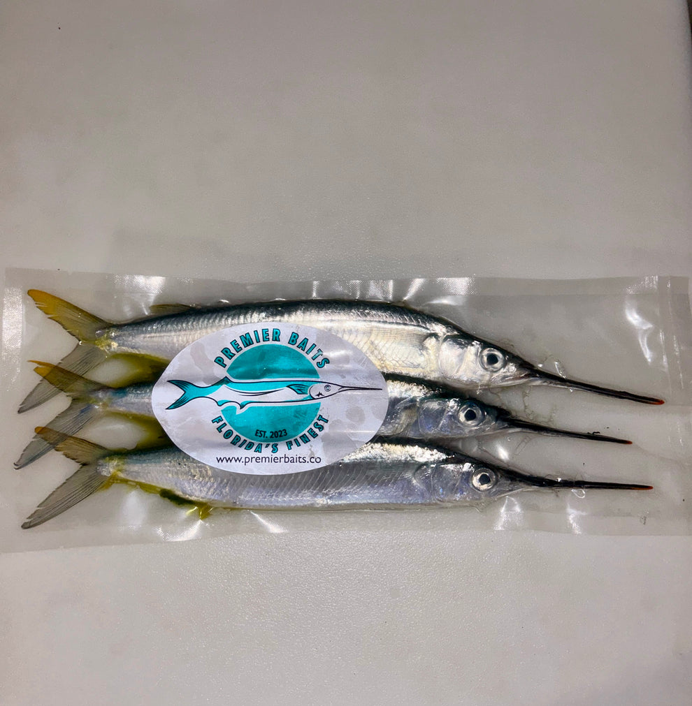 Case of Large Ballyhoo – Premier Baits